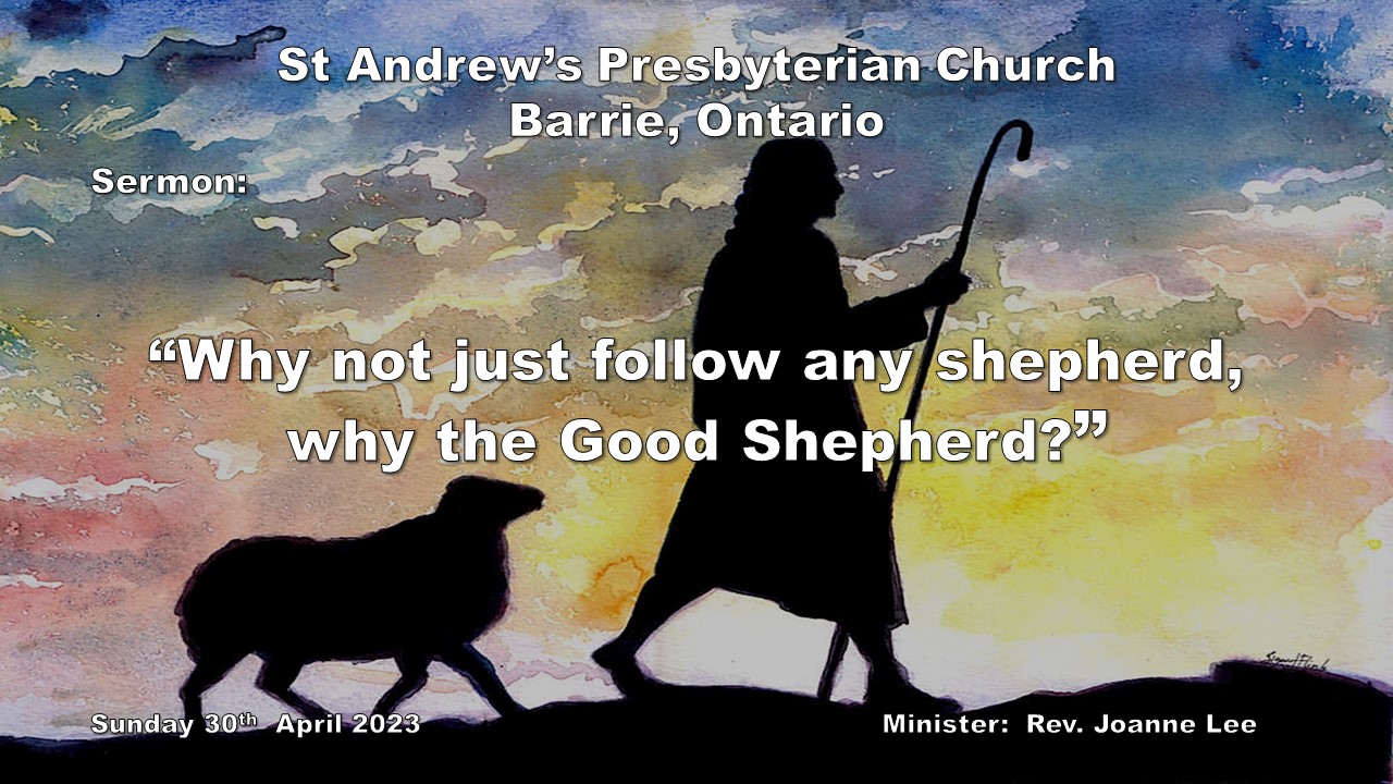 "Why not just follow and shepherd, why the Good Shepherd" - St. Andrew ...